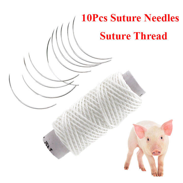 10Pcs/Set Veterinary Suture Needles Curve Surgical Niddle with Thread ...