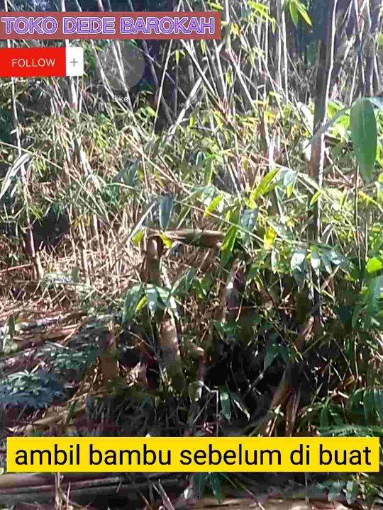 tirai bambu / kere bambu / wide gulung | Lazada Indonesia