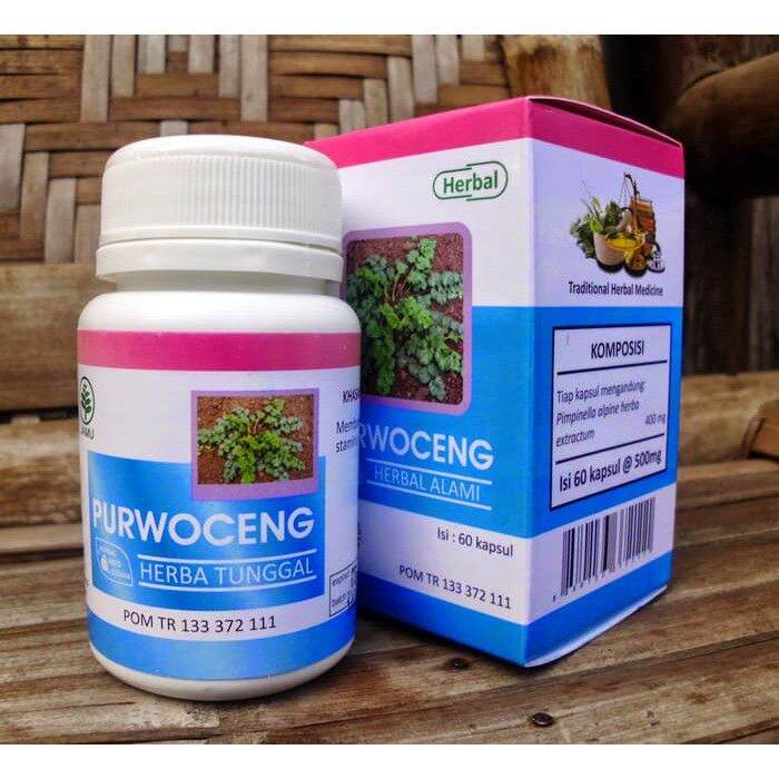 KAPSUL PURWOCENG HERBAL TUNGGAL ISI 60 KAPSUL | Lazada Indonesia