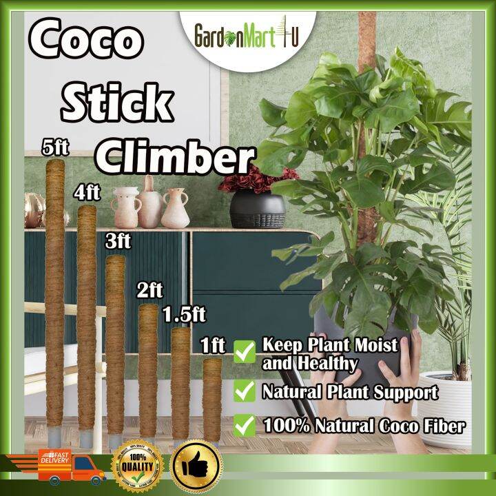 GM4U Coco Fiber Pole Plant Support Coco Stick For Climbing Plant Tiang ...