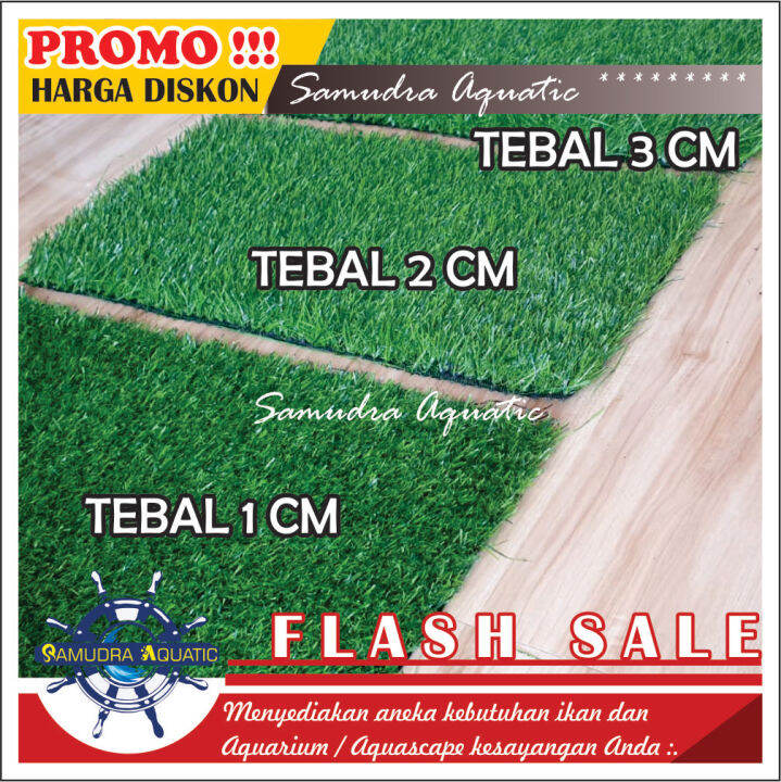 Rumput Aquarium Aquascape Sintesis (Cocok Untuk AQUARIUM KECIL), Rumput ...