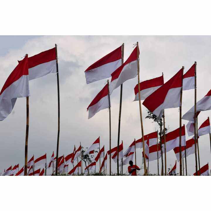 BENDERA MERAH PUTIH INDONESIA BENDERA INDONESIA | Lazada Indonesia