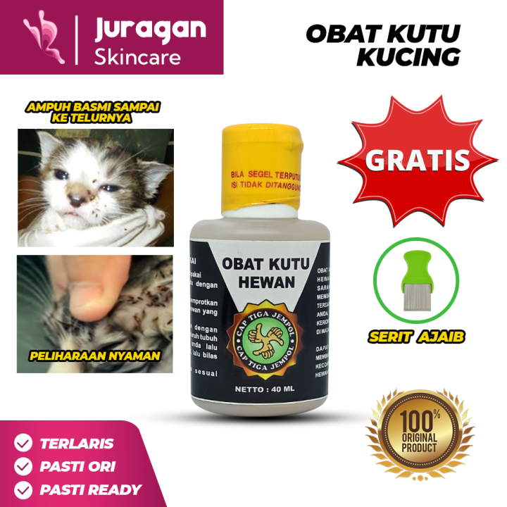 [ GSO ] AMPUH Obat Minyak Kutu Hewan Kucing Dan Anjing Pembasmi Kutu ...