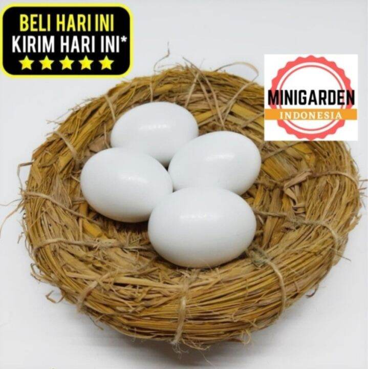 TARANGAN SARANG SUSUH JERAMI SEDANG 20CM tempat bertelur burung merpati ...