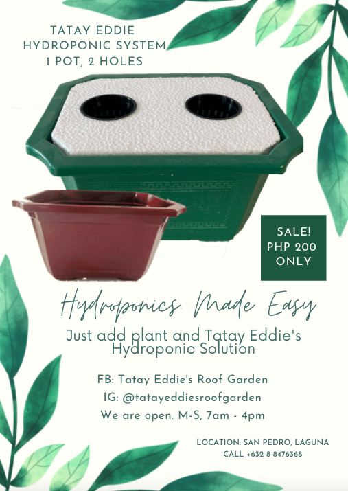 Hydroponics Pot [with 2 holes, styro anti-mosquito cover, 2 net caps ...