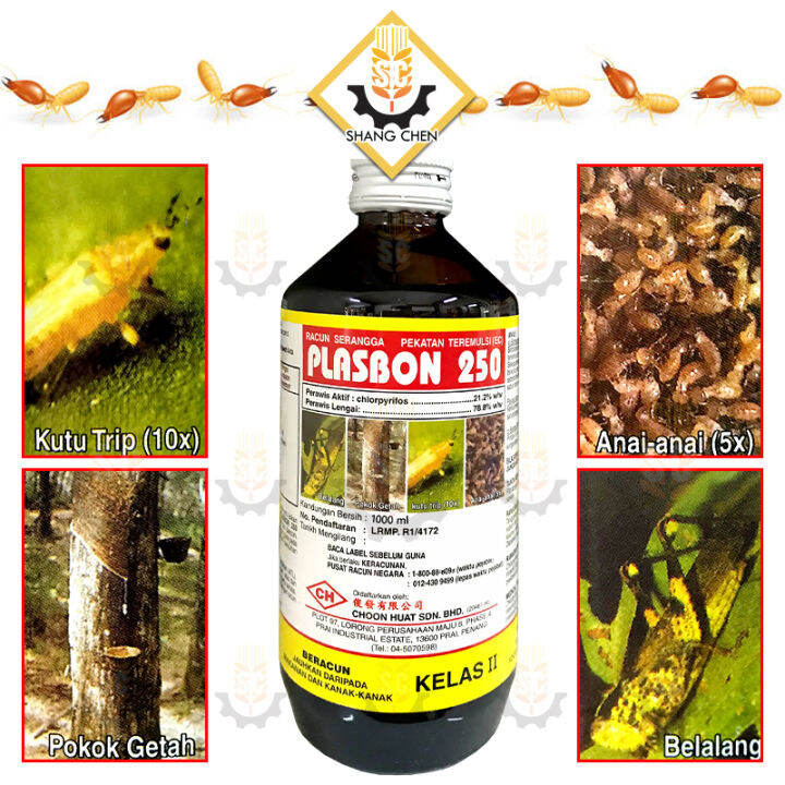 Plasbon 250 / Racun Anai anai / Ubat Serangga / Semut / Rayap ...