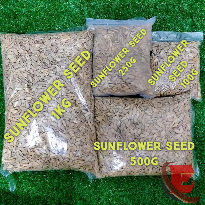 SUNFLOWER SEED 1KG / 500G / 250G / 100G / (BIJI KUACI) | Lazada