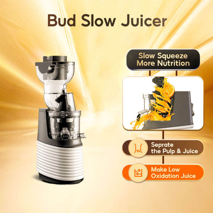 BUD Slow Juicer Fresh Fruit Vegetable Flesh Blender Juice Extraction ...