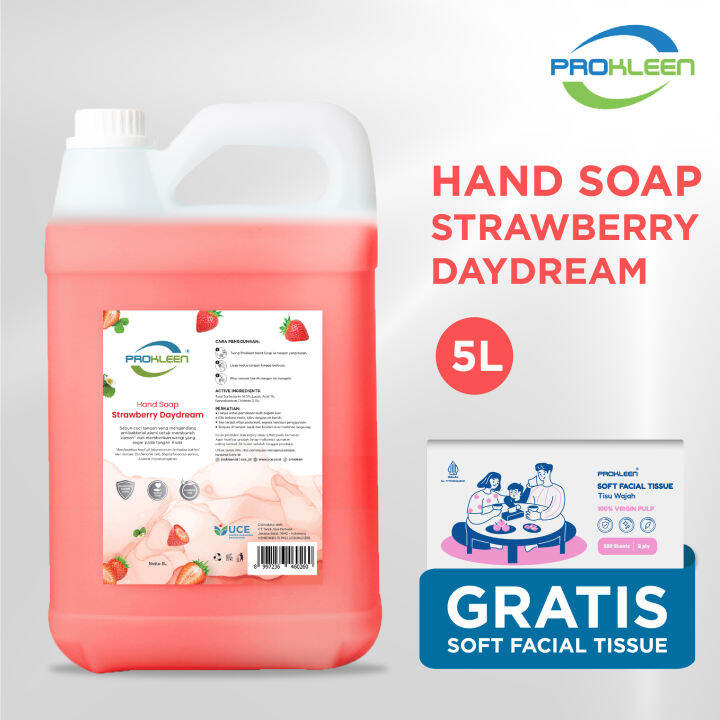 [FREE GIFT] Sabun Cuci Tangan Antiseptik HAND SOAP PROKLEEN 5L | Lazada ...