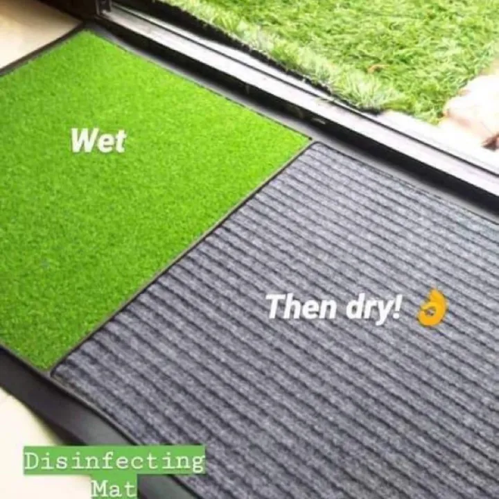 2 in1 Wet and Dry Front Door Foot Sanitizing Rubber Sterile Dust Shoe ...