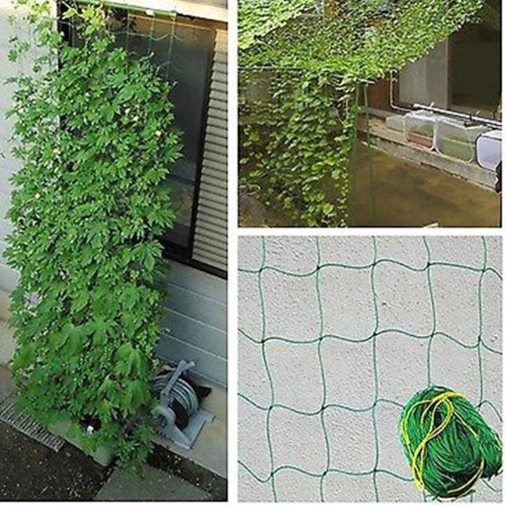 Tali Jaring Net Rambatan 1 Meter Tanaman Rambat Bunga Sayuran Anggur ...
