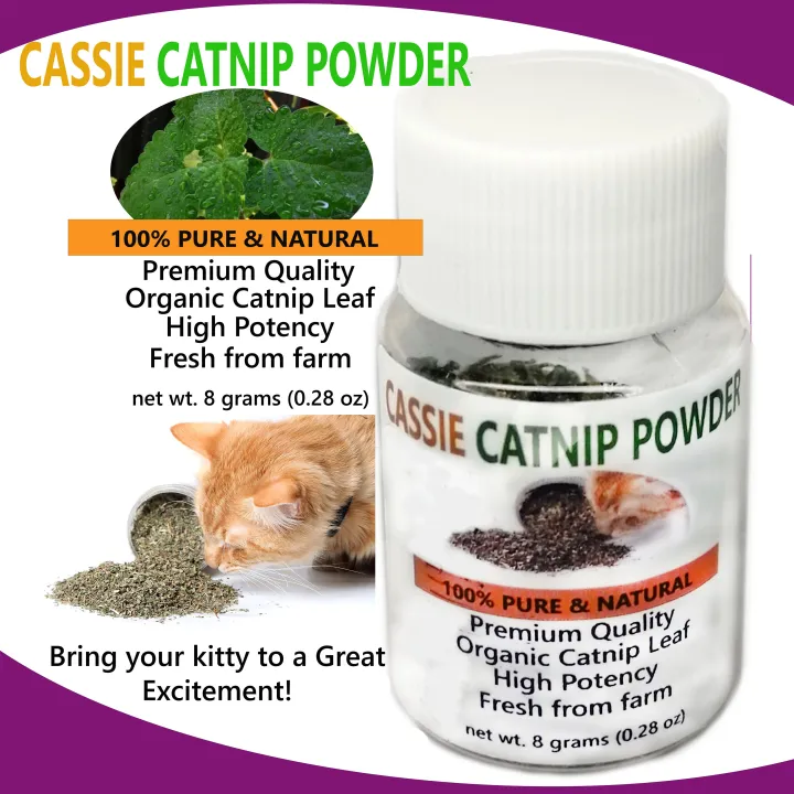 Cassie Catnip Powder 8g- 100% Organic and Natural | Lazada PH