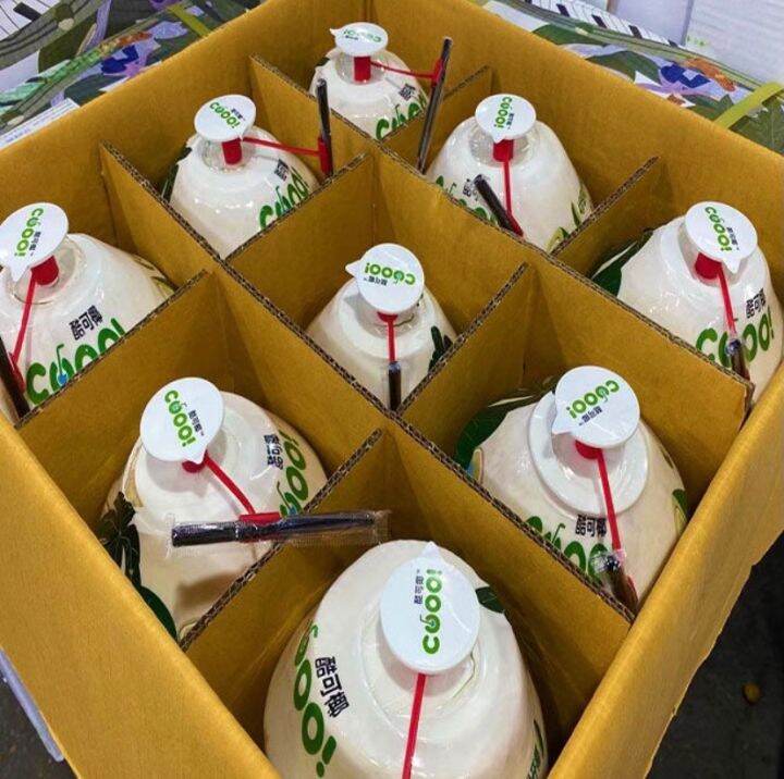 Thailand imported online celebrity Coconut Green Cool Coconut Sea ...