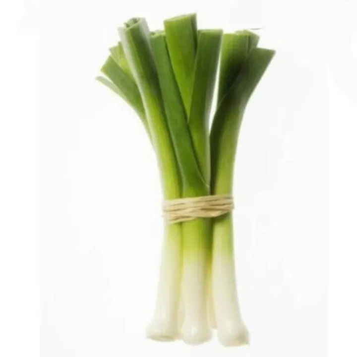 Biji Benih Bawang Prei Jumbo Daun Bawang Giant Leek | Lazada Indonesia