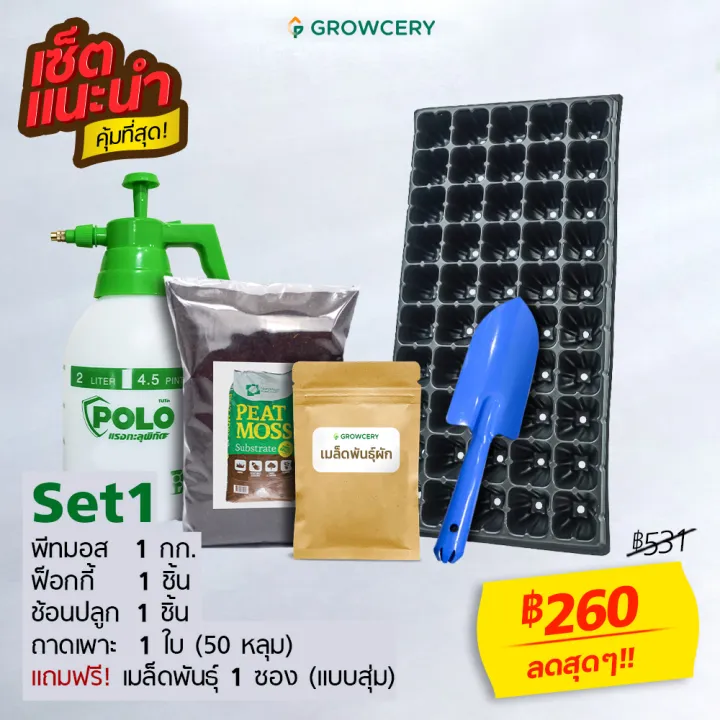 [G] เซ็ตปลูกผัก เซ็ตเพาะปลูก เซ็ตเพาะปลูกเริ่มต้น จัดเซ็ตมาให้ซื้อกันแบบครบเซ็ต และราคาถูกสุดๆ ...