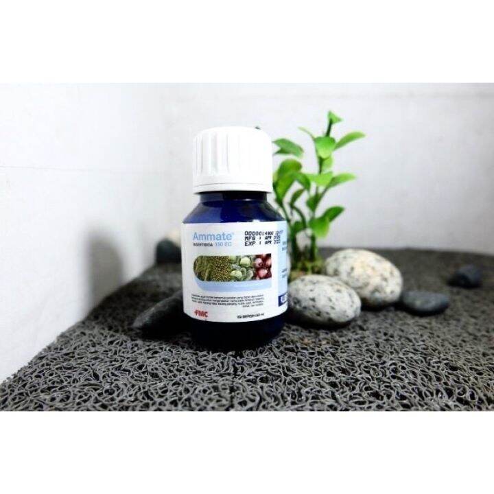 Insektisida Dupont AMMATE 150 EC 50 ML | Lazada Indonesia