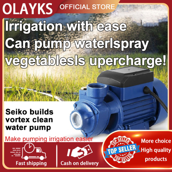 Electric Water Pump Peripheral Booster Pump 1/2HP 0.5HP Heavy Duty ...