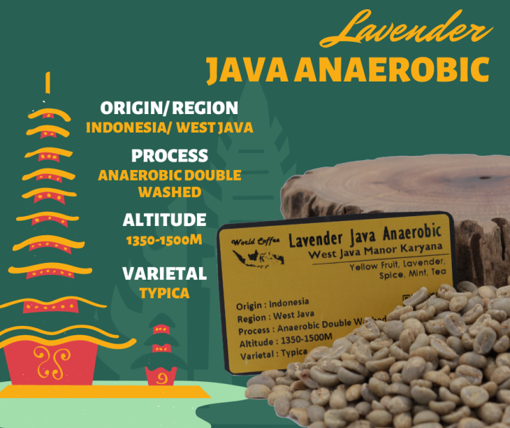 พร้อมส่ง เมล็ดกาแฟ Lavender Java Anaerobic Double washed process/ เมล็ดกาแฟนอก/ สารกาแฟ ...