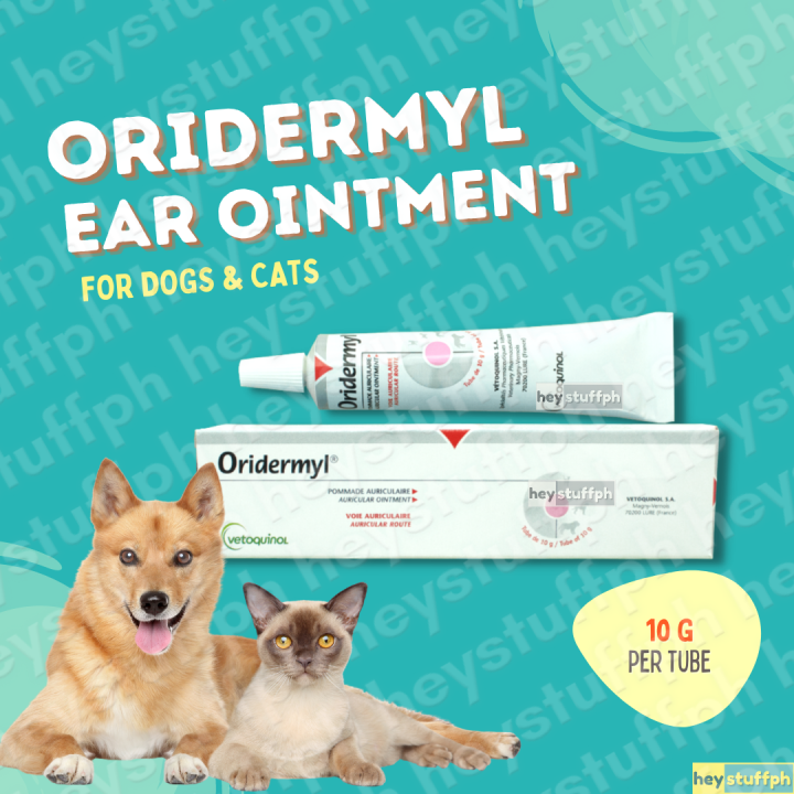[heystuffph] Oridermyl Ear Ointment 10g for Dogs and Cats | Lazada PH