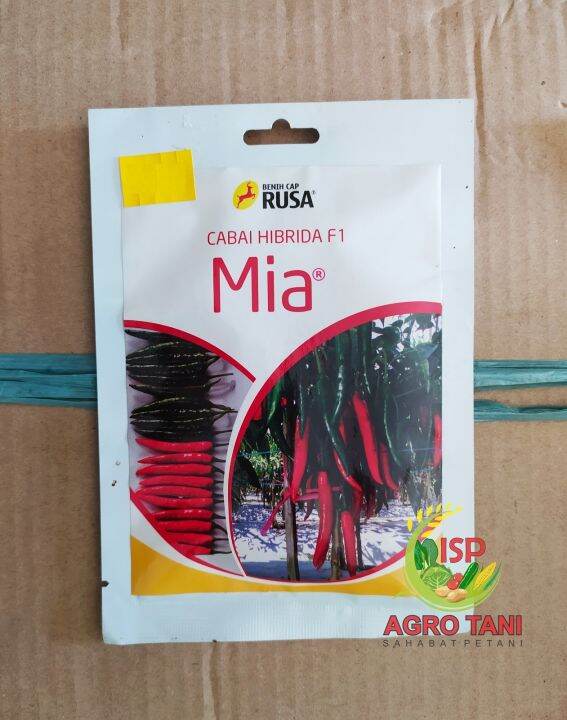 BENIH CAP RUSA CABAI BESAR MIA F1 isi 10 gram | Lazada Indonesia