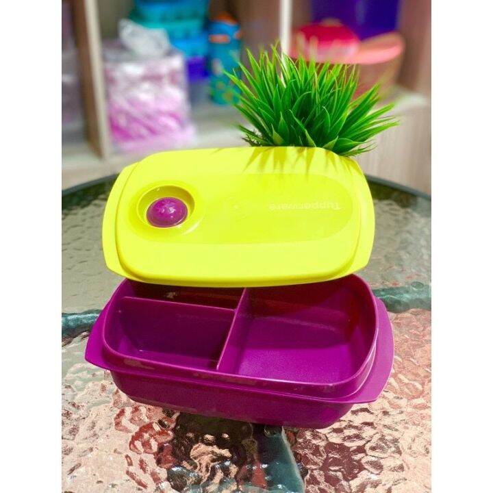 Tupperware Brands Reheatable Divided Lunch Box 1.0L | Lazada