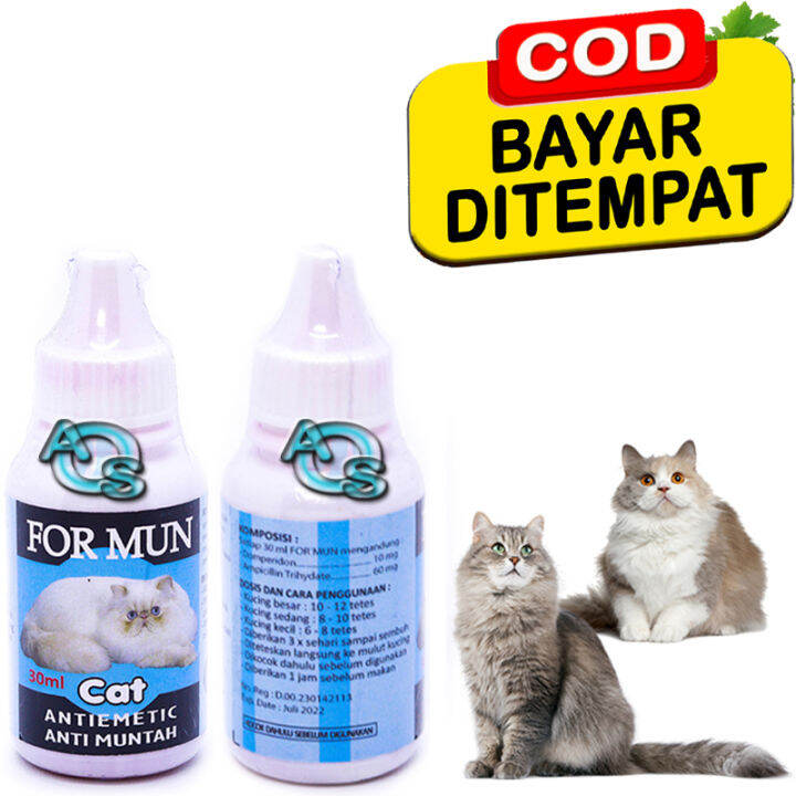 OBAT MUNTAH KUCING FORMUN SAKIT PERUT INFEKSI PENCERNAAN | Lazada Indonesia