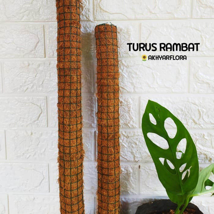 Turus Penyangga Tanaman 100 cm, Tiang Penyangga Tanaman Rambatan ...