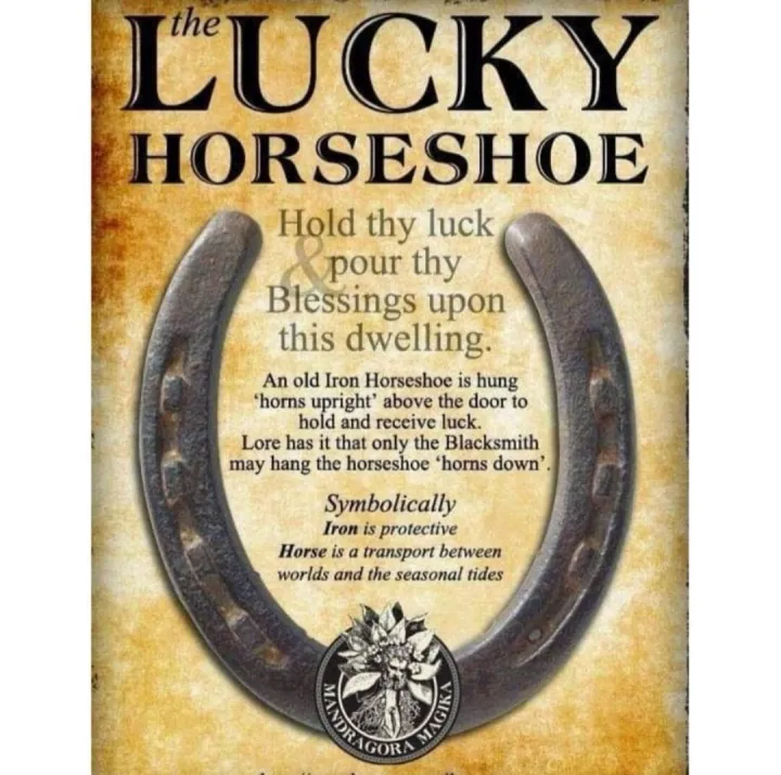 [100% ORIGINAL] Rust/Used Black Horse Shoe / Kuthirai Laadam / Ladam ...