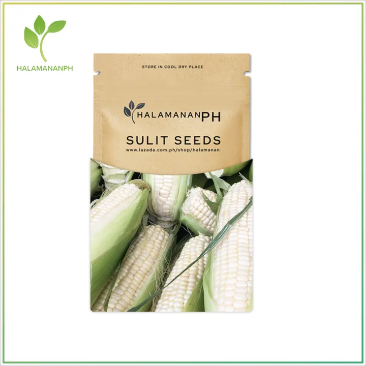 CORN - WHITE / SWEET VARIETY VEGETABLE SULIT SEED PACK [Halamanan PH ...