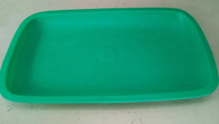 Medicine Tray (Plastic) | Lazada PH