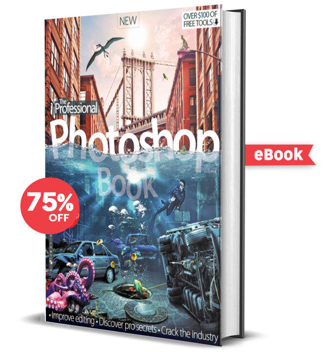 Creativeturf PH | The Professional Photoshop Book | Ebook | Lazada PH