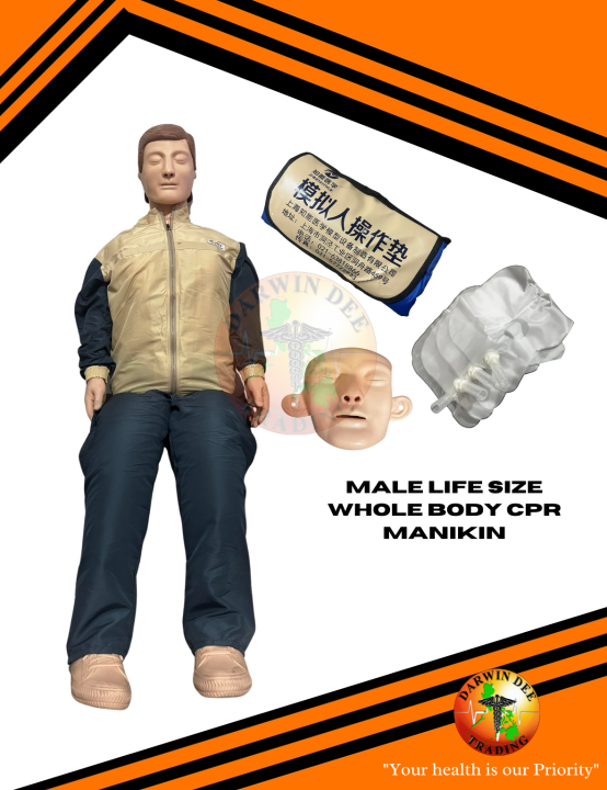 MALE LIFE SIZE WHOLE BODY CPR MANNEQUIN | Lazada PH