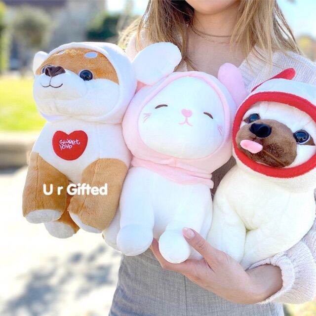 Dog Plush Stuffed Toy by Miniso (Husky Bulldog Labrador Pug Pomeranian ...