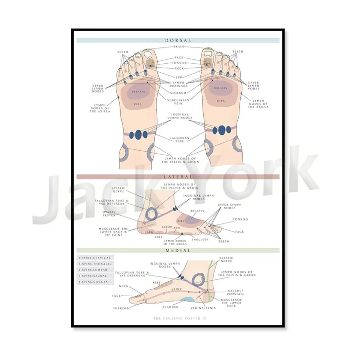Reflexology Foot Map/Foot Chart Print Wall-art, Therapy Room Poster ...