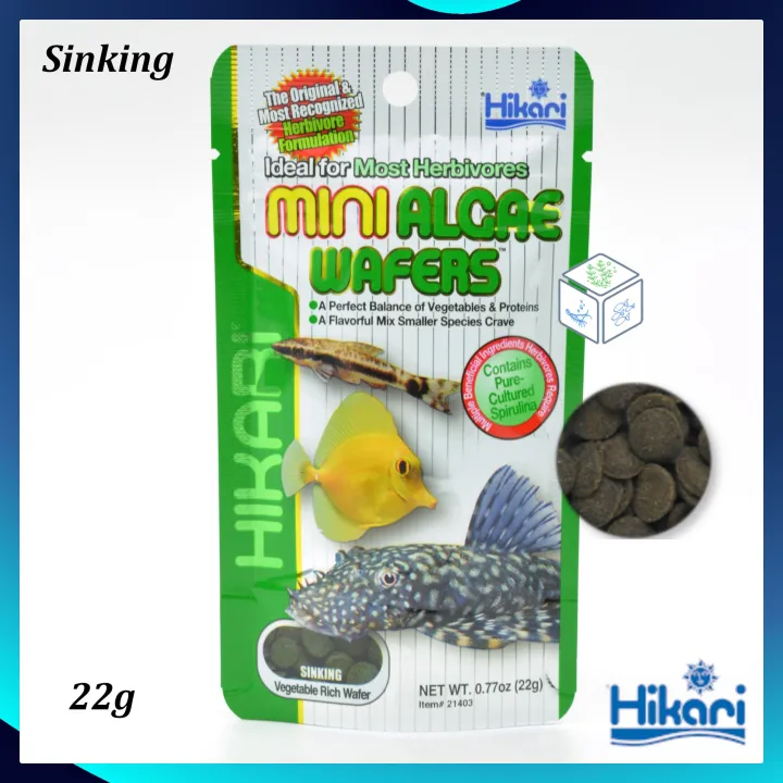 Hikari Algae Wafers Mini 22g Tropical Fish Food | Lazada