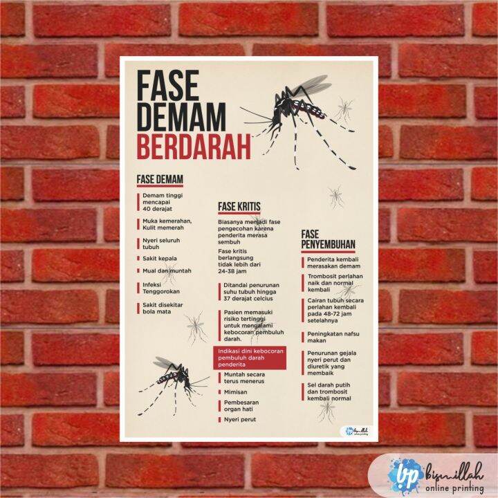 Poster Kesehatan Fase Demam berdarah | Lazada Indonesia
