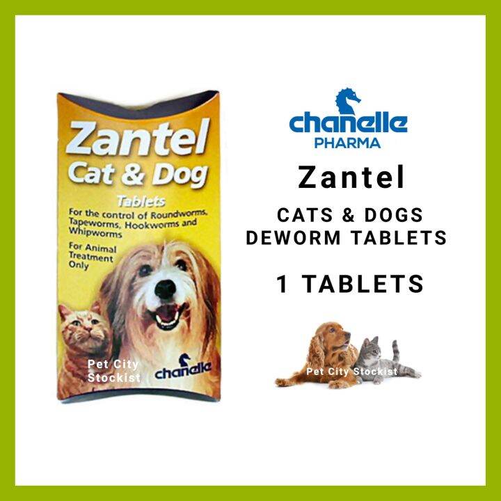 Zantel cat & dog tablet for control of roundworms, tapeworms, hookworms ...