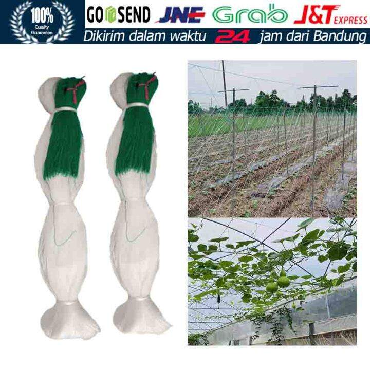 Jaring Atau Net Jaring Tanaman Merambat Jaring Rambatan Tanaman Plant Climbing Net Untuk Tanaman ...
