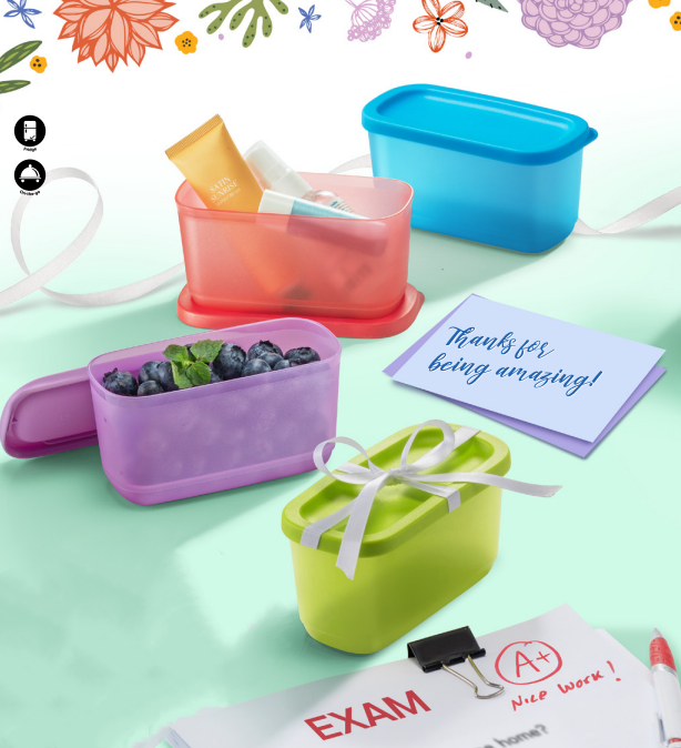 Tupperware Cubix Mini Rectangular 250ml (2pcs) | Lazada