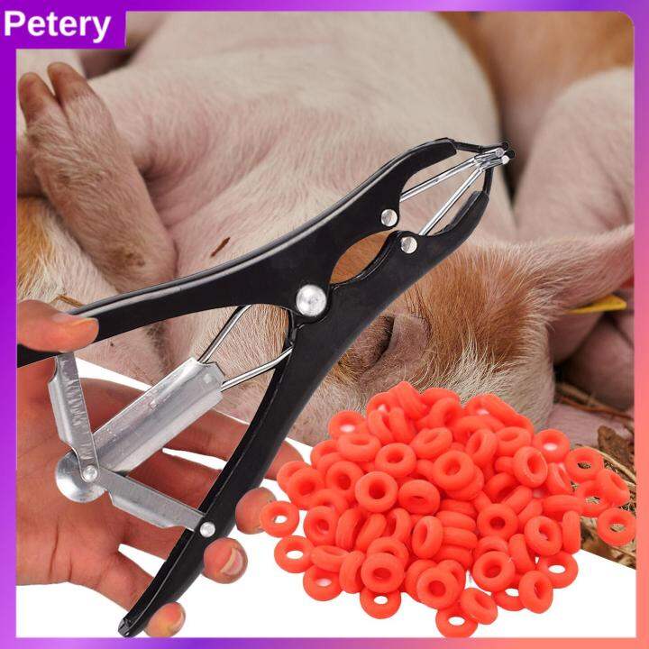 Petery Castration Plier Animal Equipment Tool for Pig Sheep | Lazada PH
