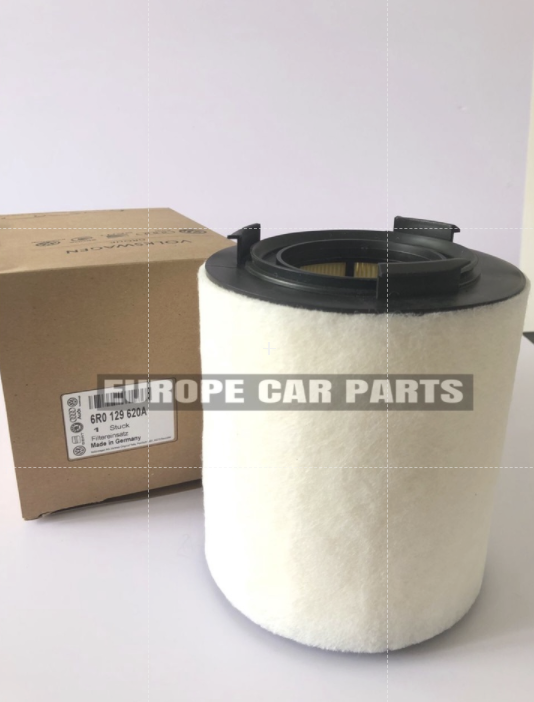 6R0129620A AIR FILTER 1.2 VOLKSWAGEN POLO | Lazada