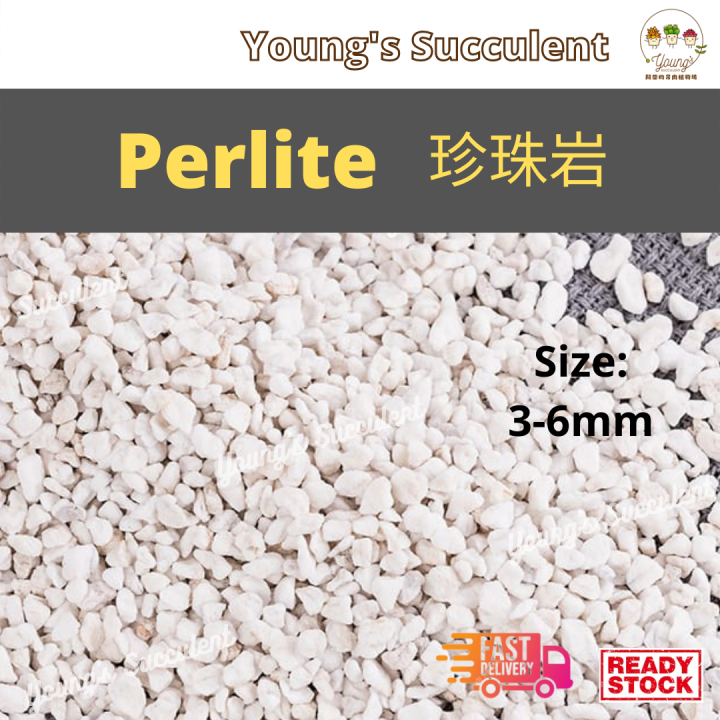 Perlite (1 Litre) 珍珠岩 3-6MM for Cactus and Succulent | Lazada