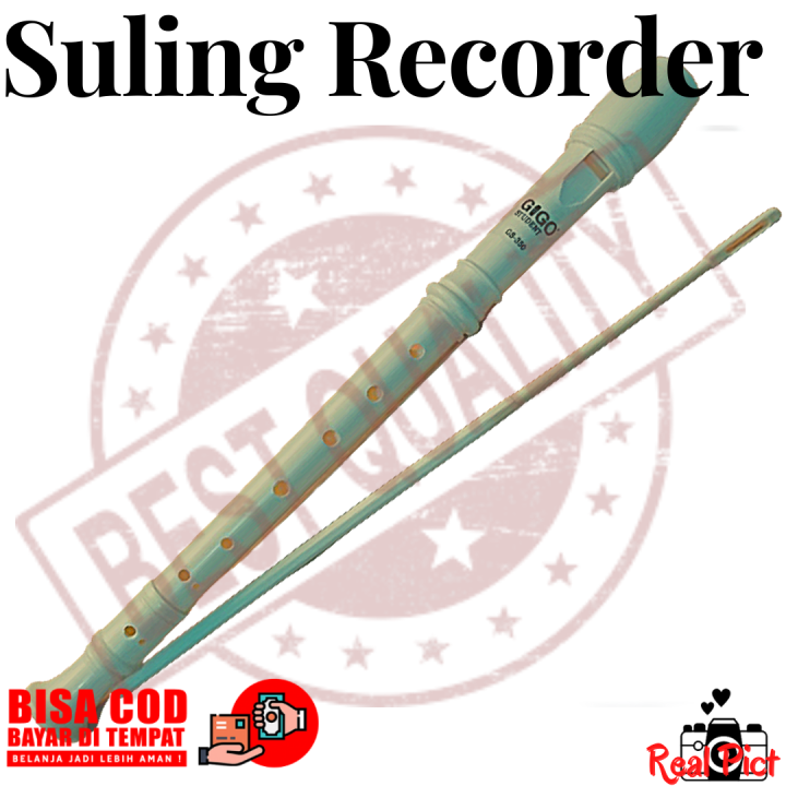 ALAT MUSIC TIUP SERULING RECORDER | Lazada Indonesia