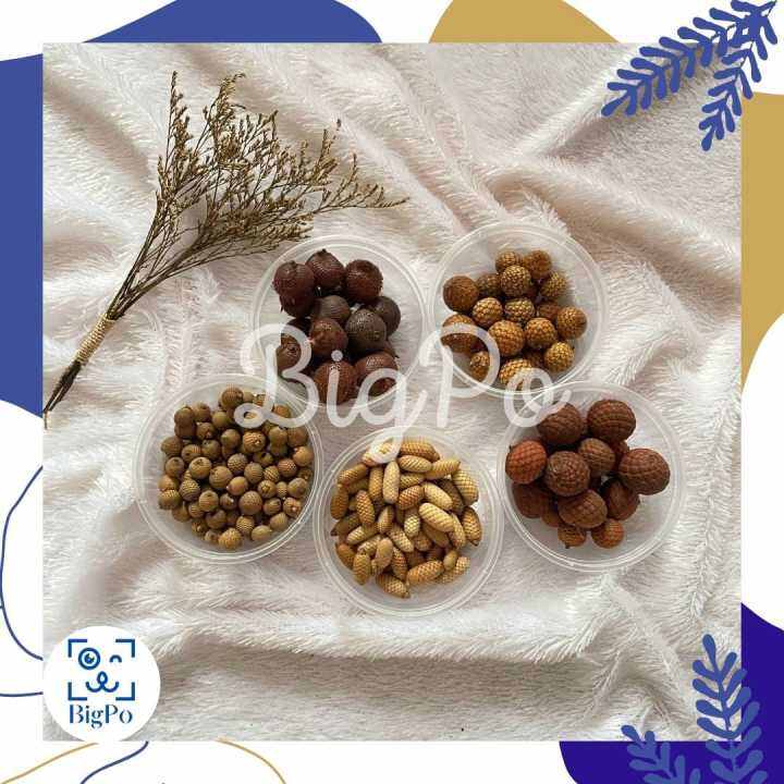(500gr) 75-750 Biji Rotan Buah Rotan Lonjong Bulat Drini Salak Mini ...