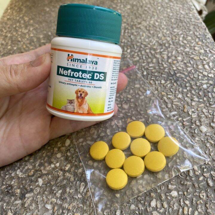 Nefrotec DS 1 tablet | Lazada PH