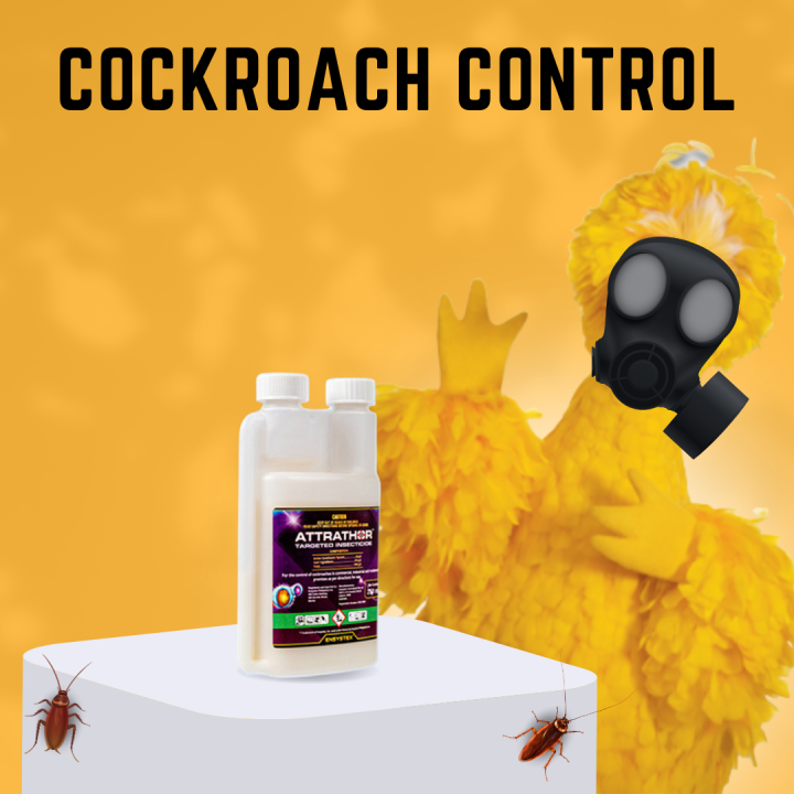 ATTRATHOR FIPRONIL (COCKROACH & ANT CONTROL) | Lazada PH