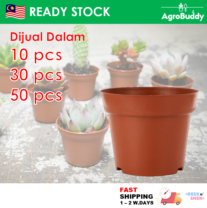 [10/30/50pcs] AgroBuddy Seedling/Cactus/Succulent 7cm Small Plastic Pot ...