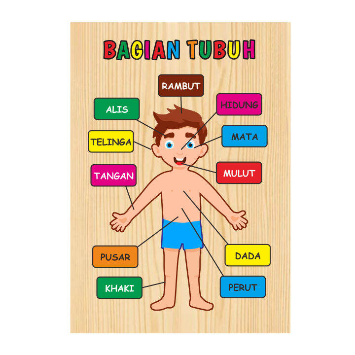 Mainan Edukasi - Puzzle Anggota Tubuh | Lazada Indonesia