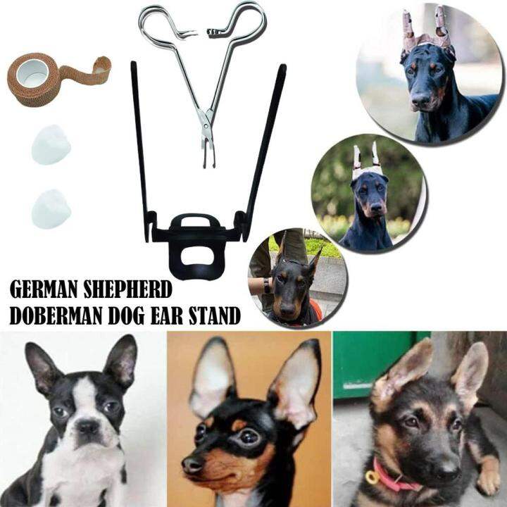 Dog Ear Stand Up Corrector Pet Dog Ear Lifter Safety Ear Dog Fixed ...
