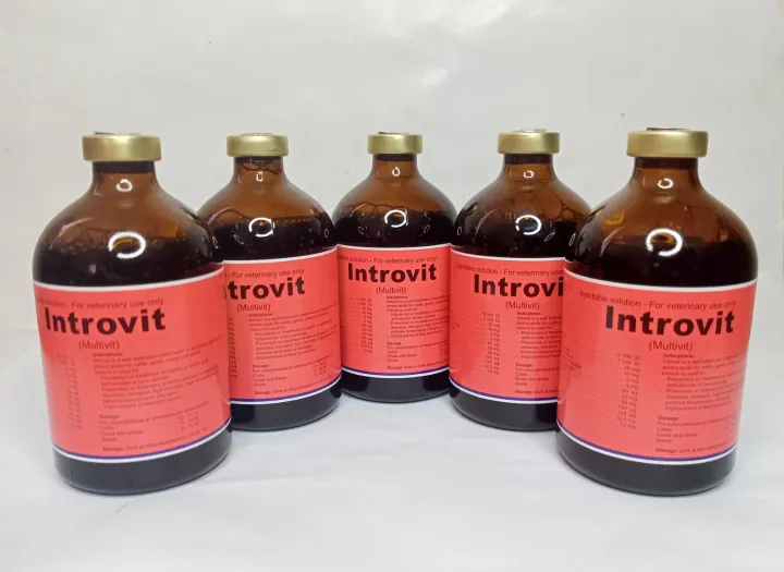 [VETKLIX II] 5 BOTTLES (100ml) / INTROVIT MULTIVITAMINS for GAMEFOWL ...